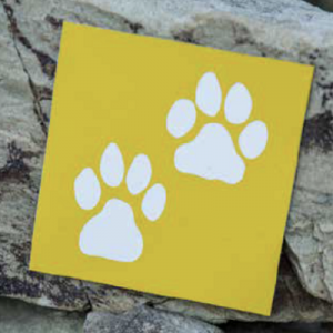 Leopard Trail General Information | Go Baviaans